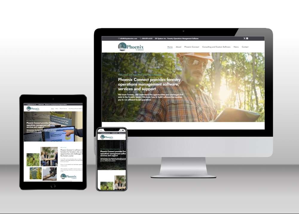 DR Systems launches new web presence to showcase Phoenix Connect | DR ...